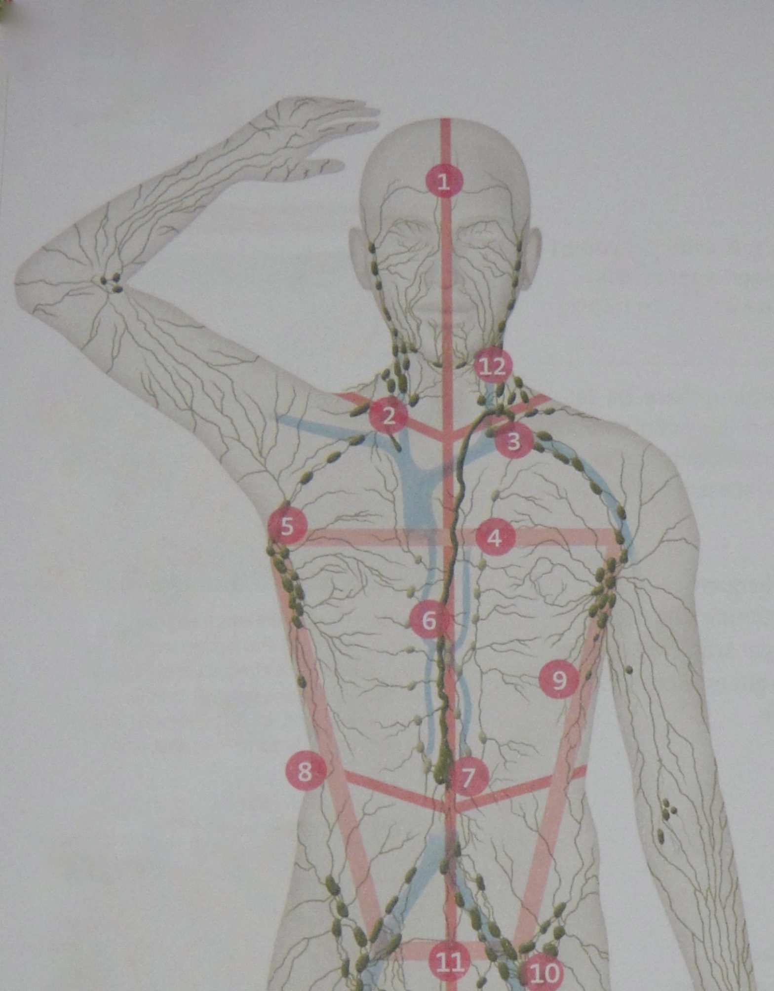 Manuelle Lymphdrainage - Praxis für Physiotherapie